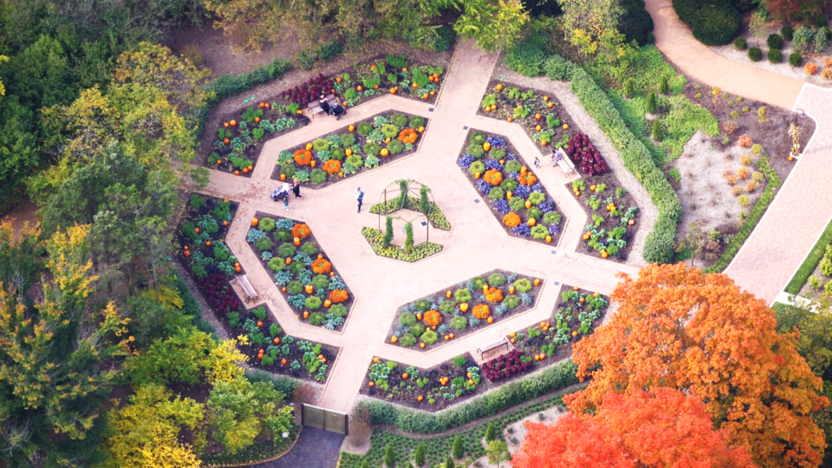 octagon-aerial - Landscape Illinois