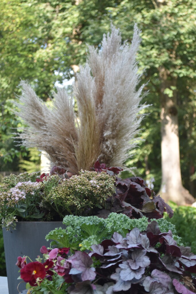 D - Landscape Illinois