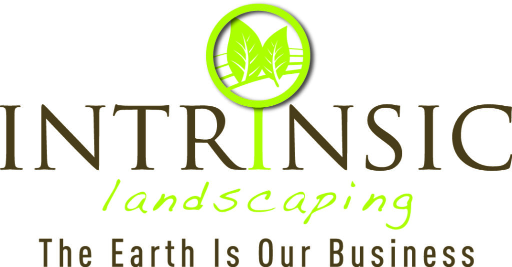 intrinsic-logo-no-background - Landscape Illinois