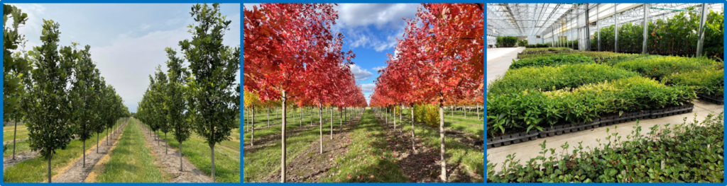 Landscape Illinois | Nursery Resources